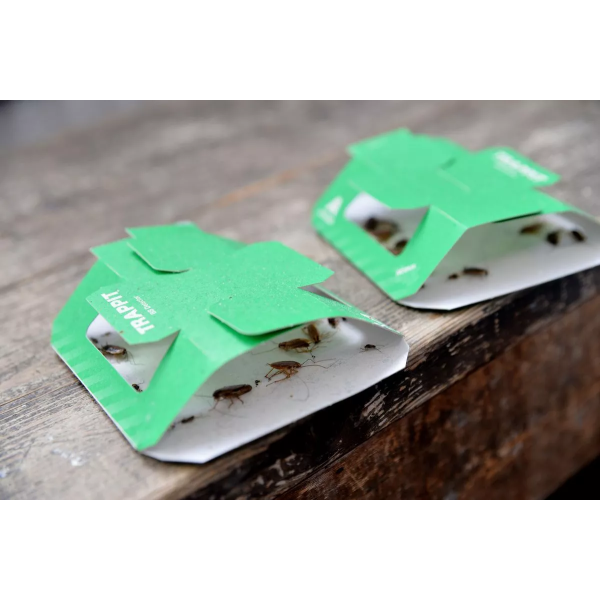 Trappit Bed Bug Detector – 10 Pack, 20 Traps – Saniworld